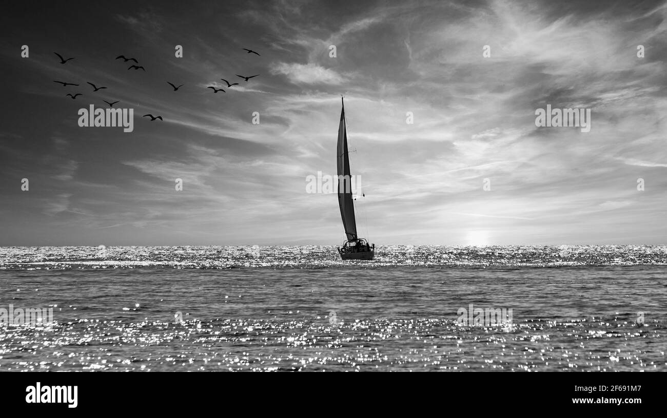 Black and white photograph of a sailboat sailing towards the horizon at ...
