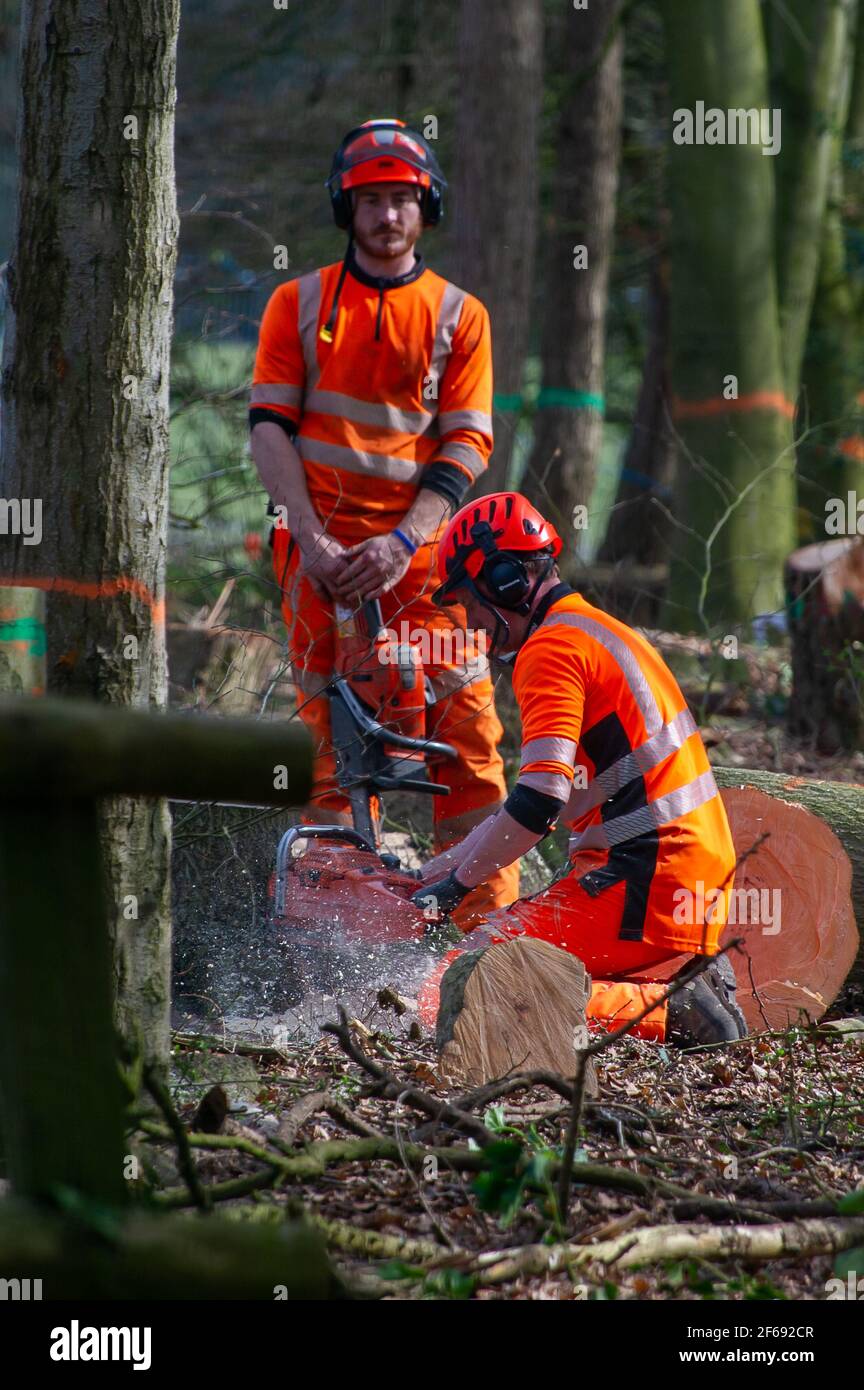 Hs2 tree grabbers hi-res stock photography and images - Alamy