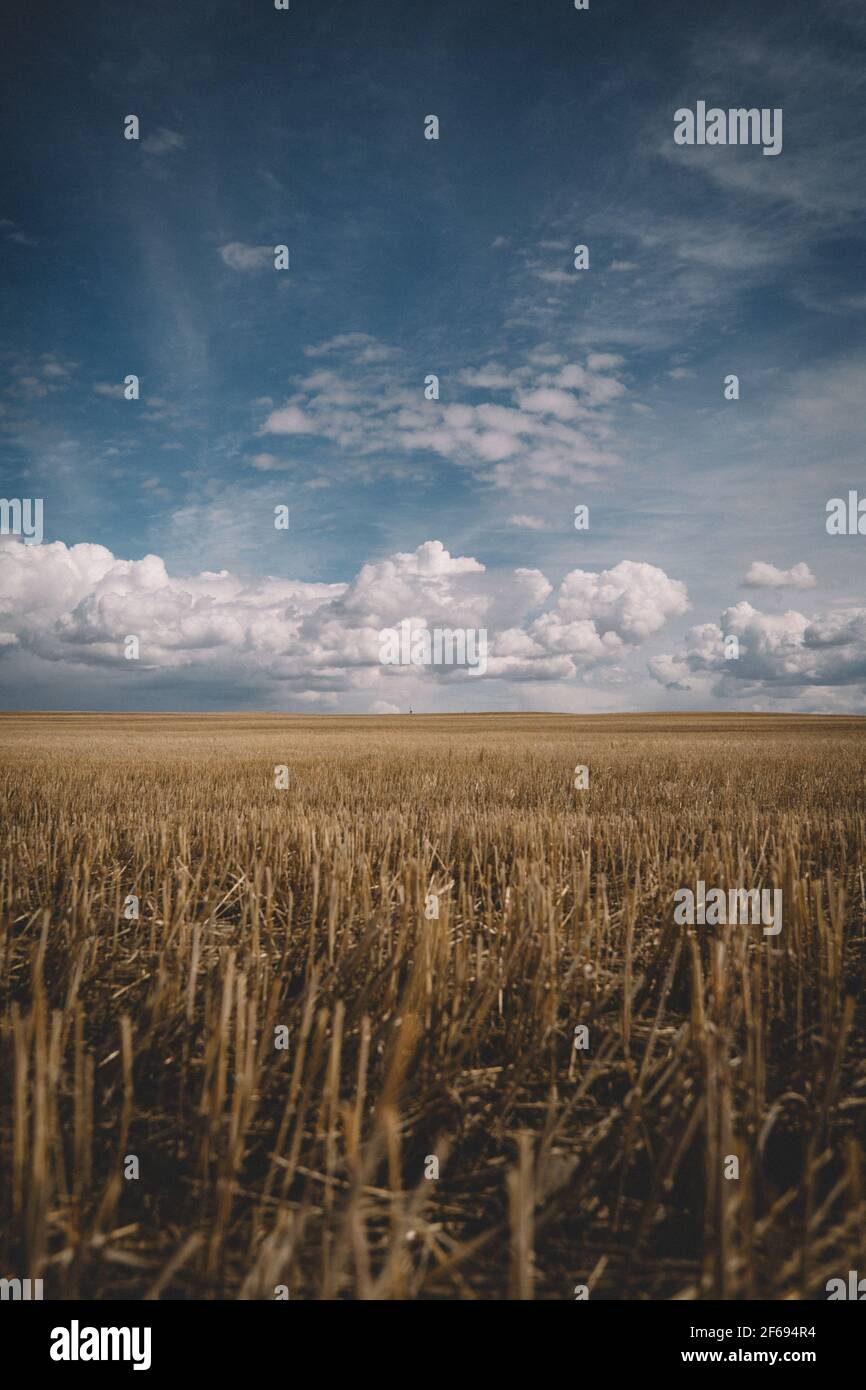 Sunny Alberta High Resolution Stock Photography and Images - Alamy