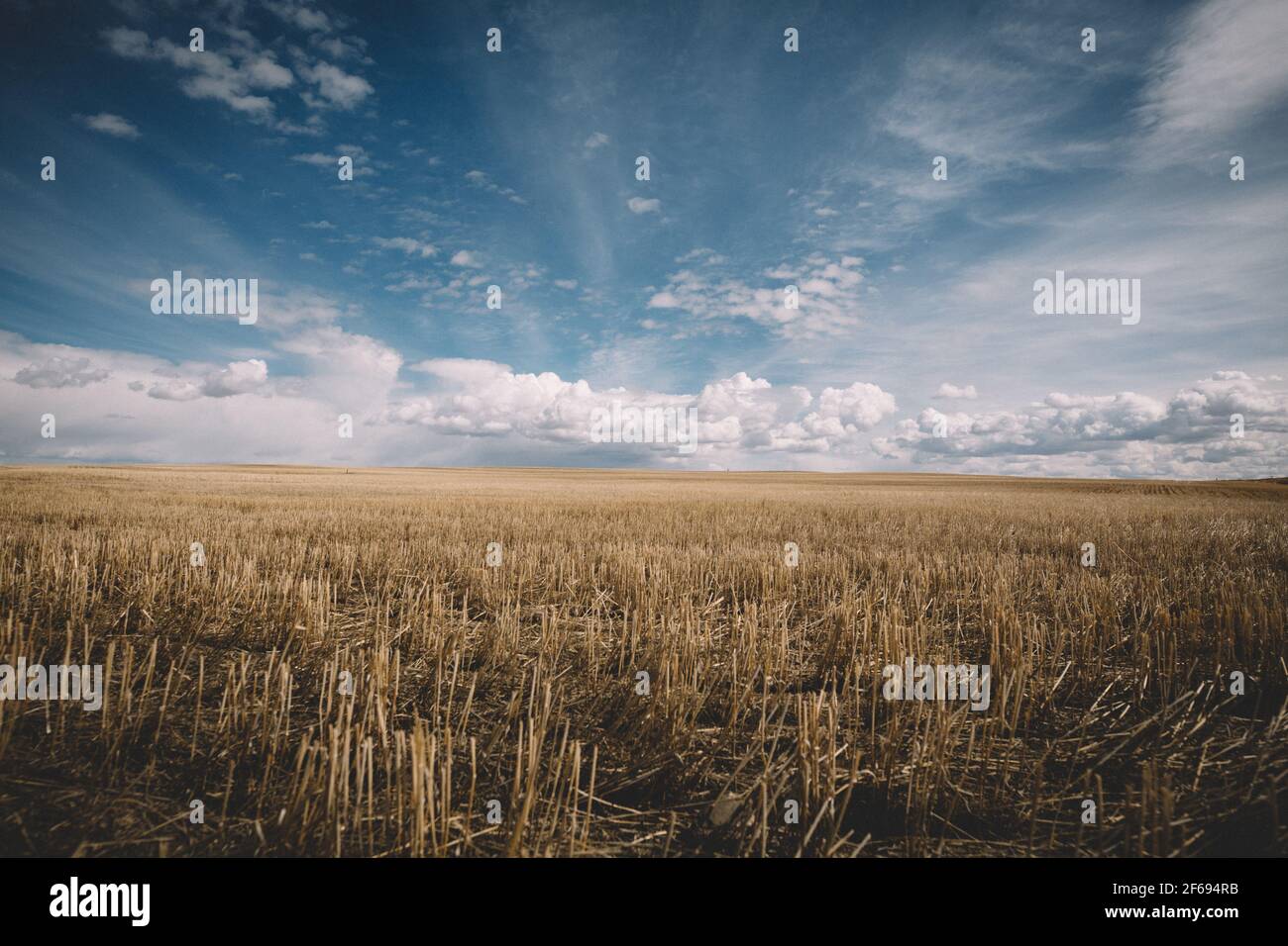 Sunny Alberta High Resolution Stock Photography and Images - Alamy