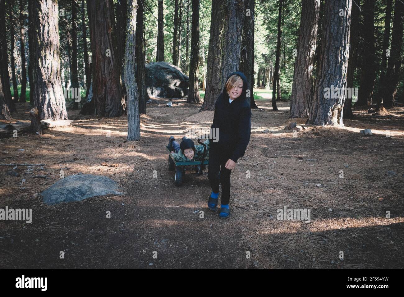 Boys Drag Each Other around on a utility Cart while Camping Stock Photo ...