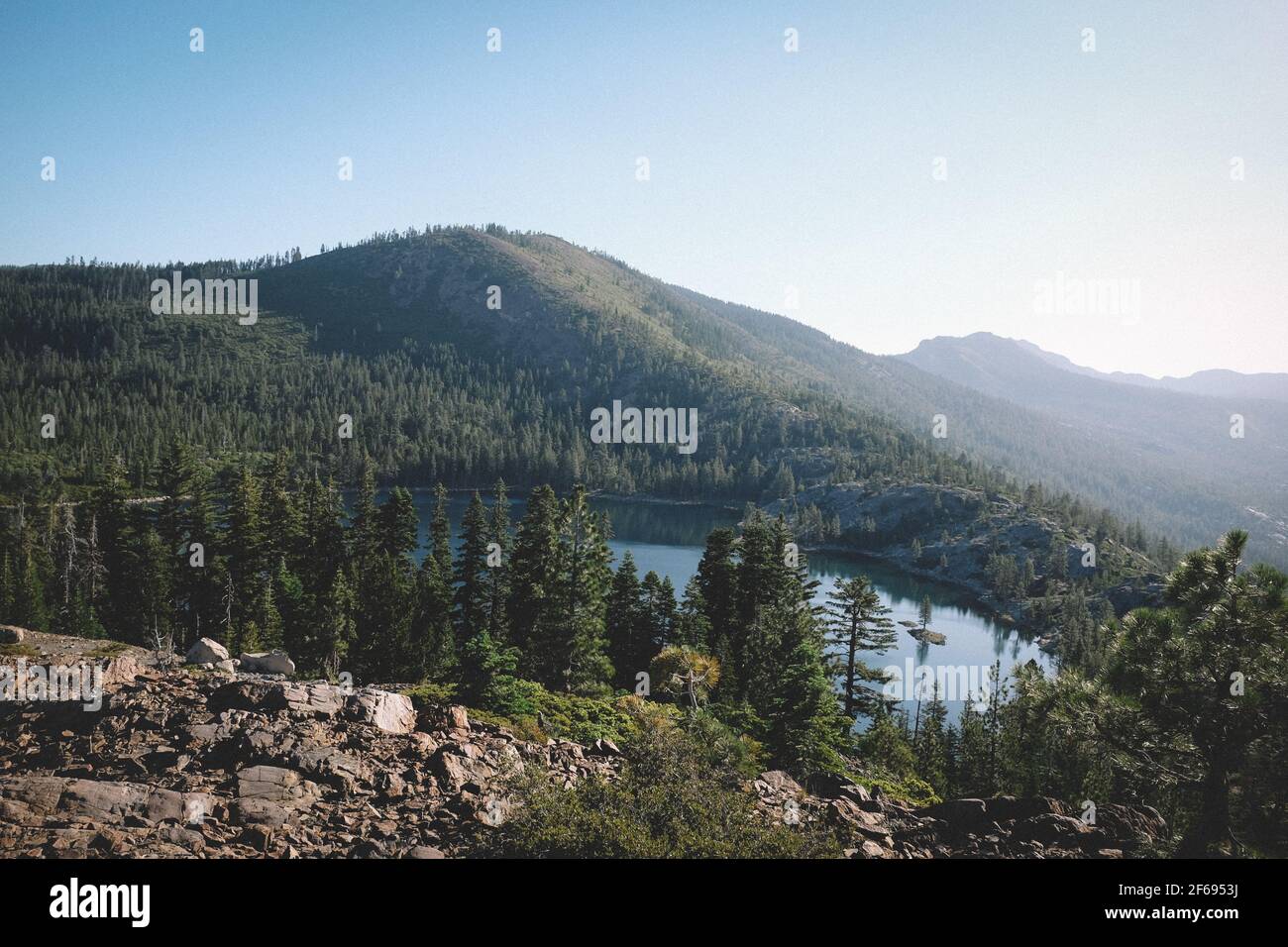 Scenic Blue Lake Hides Behind a Line of Pine Trees in the High Sierra ...