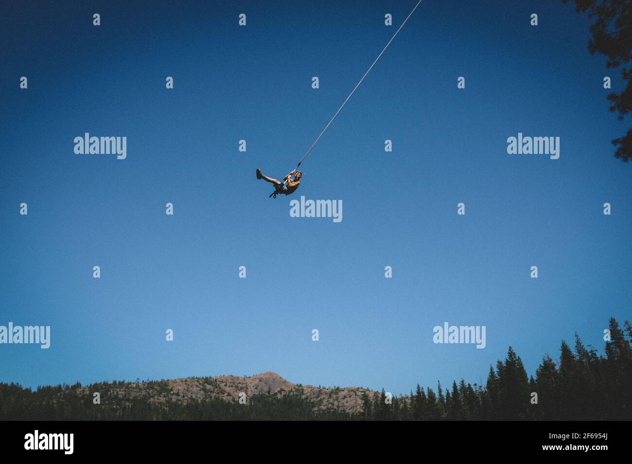 Boy on rope swing hi-res stock photography and images - Alamy