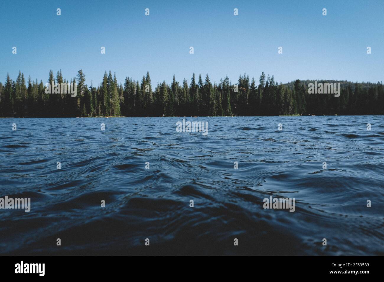 Lake Level View of Blue Water and Ripples with Green Treeline Stock ...