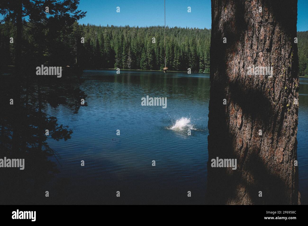 Small Splash of Water Beneath a Rope Swing on a pretty lake Stock Photo ...