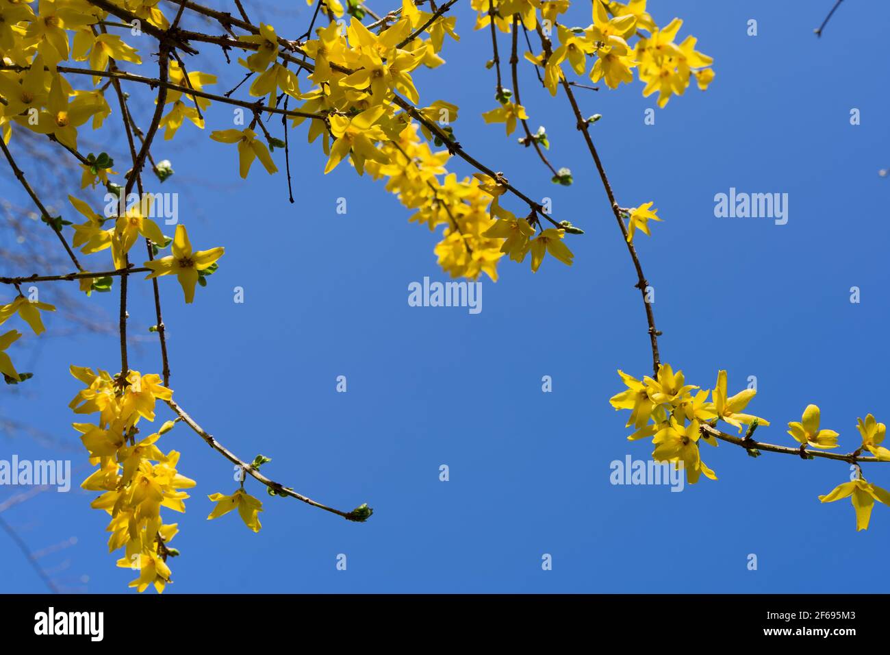 Celebrating in the sunshine hi-res stock photography and images - Alamy