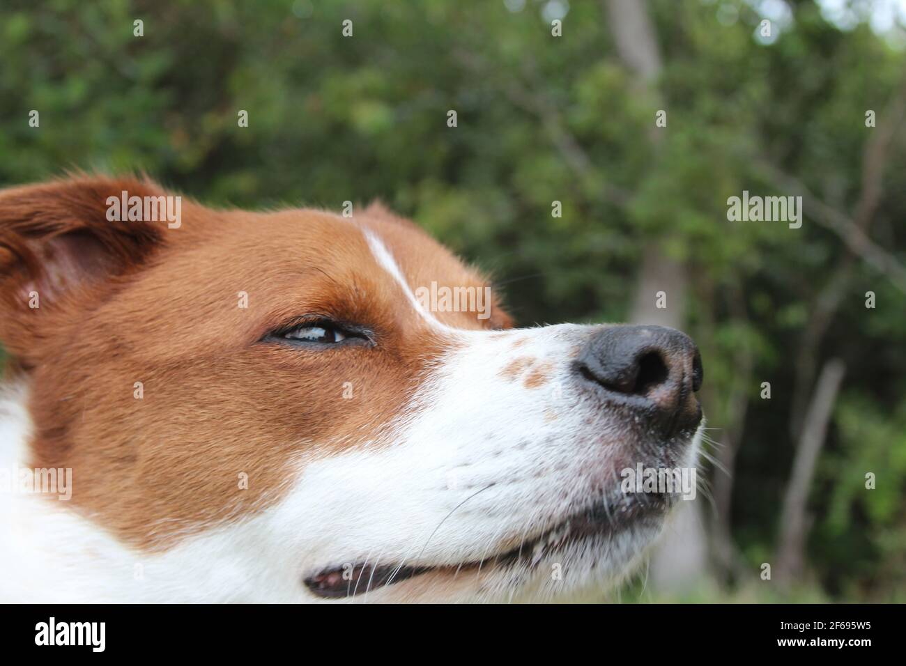 Outside shots hi-res stock photography and images - Alamy