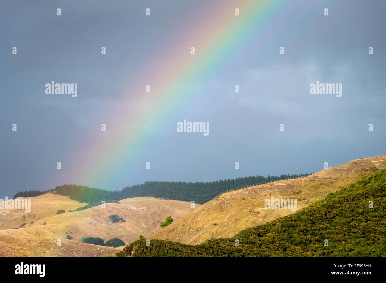 Whakataki hi-res stock photography and images - Alamy