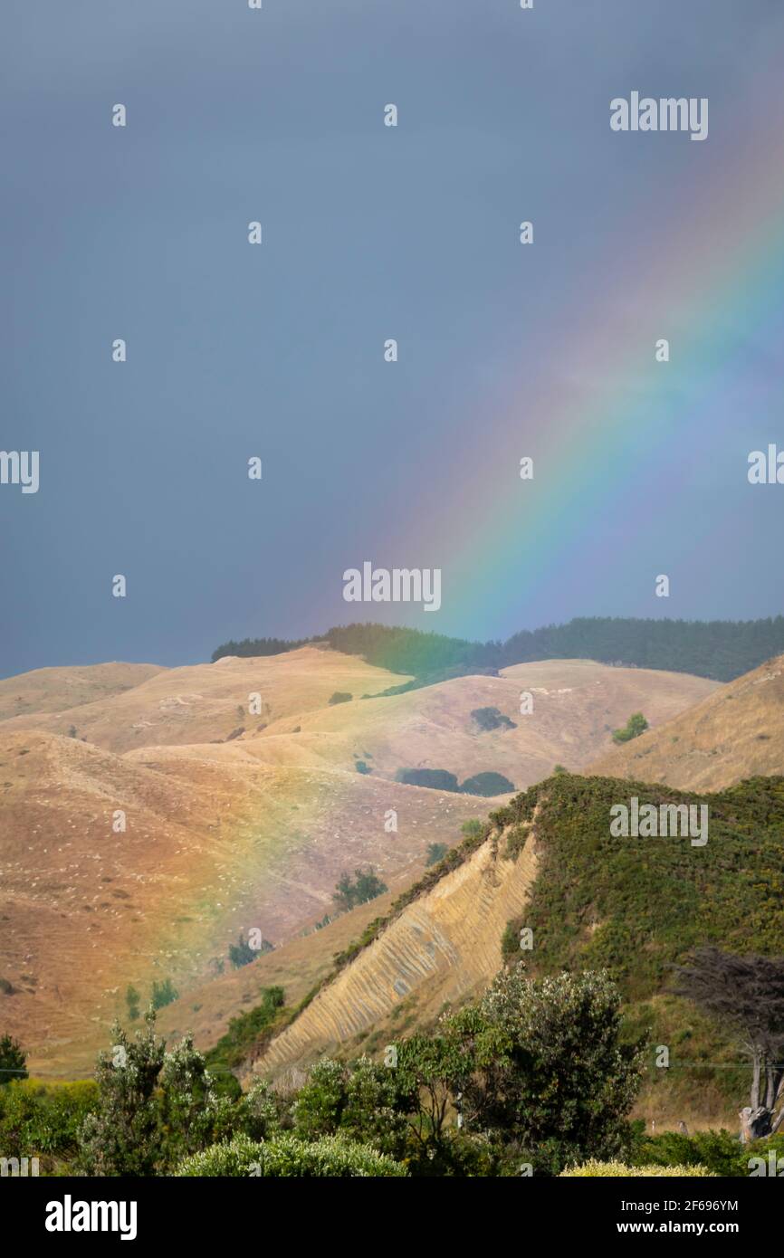 Whakataki hi-res stock photography and images - Alamy