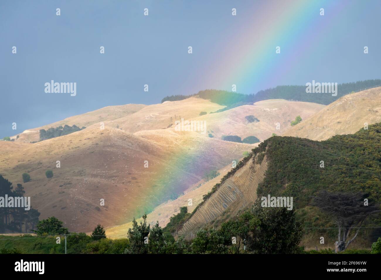 Whakataki hi-res stock photography and images - Alamy