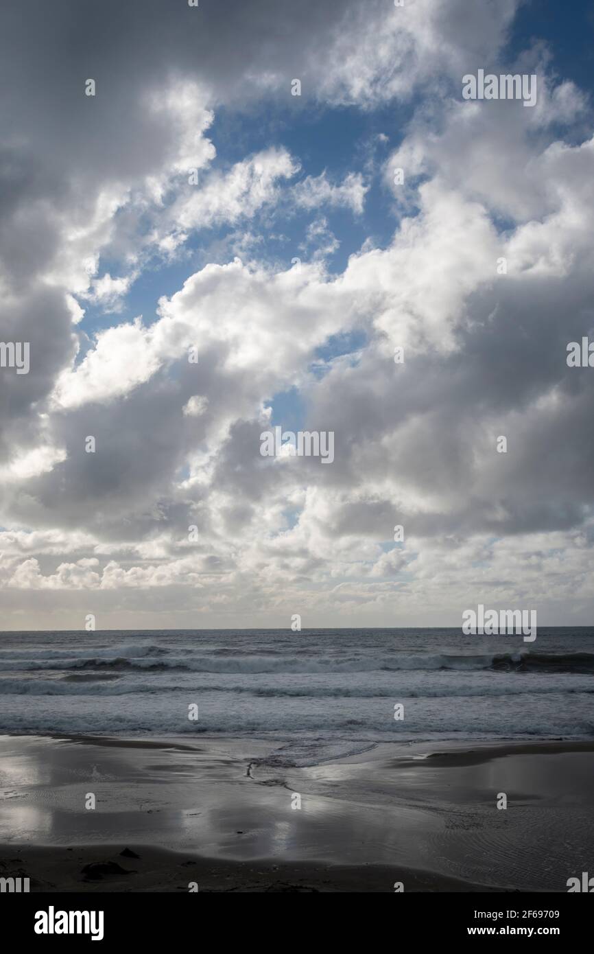 Whakataki hi-res stock photography and images - Alamy