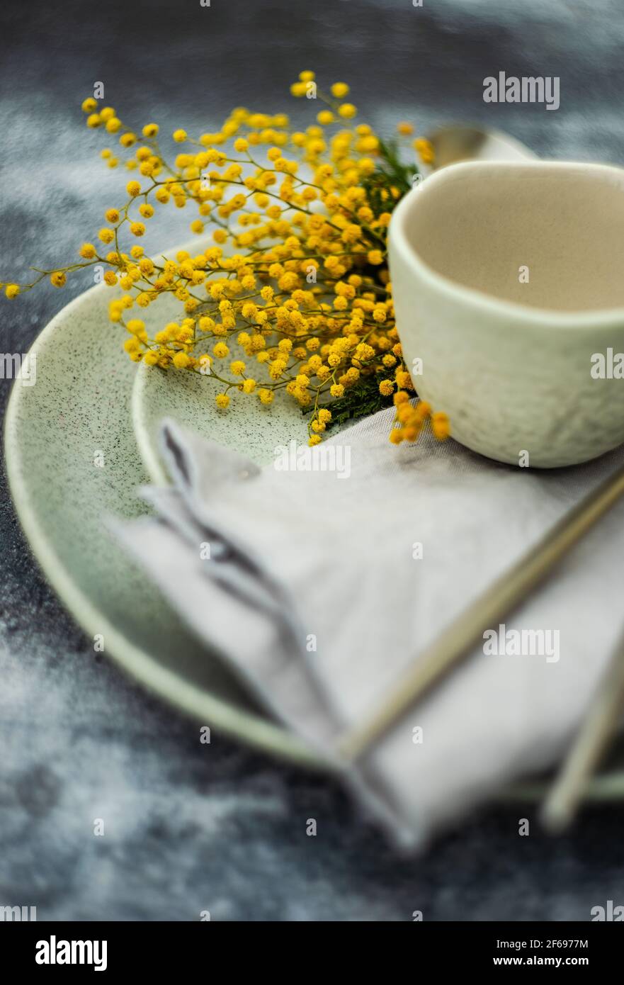 Spring mimosa flowers used in table setting decoration Stock Photo - Alamy