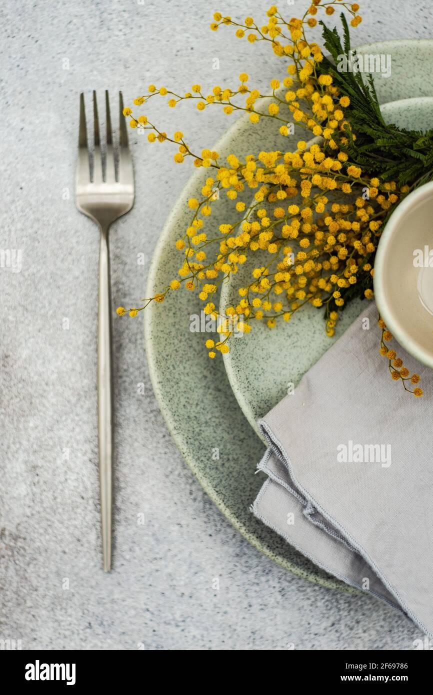 Spring mimosa flowers used in table setting decoration Stock Photo - Alamy