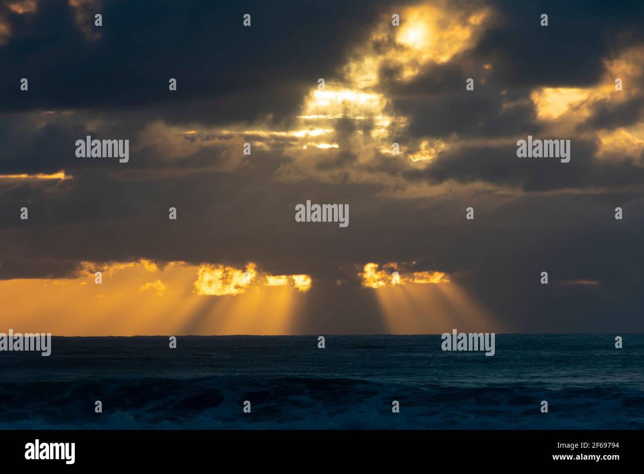 Whakataki hi-res stock photography and images - Alamy
