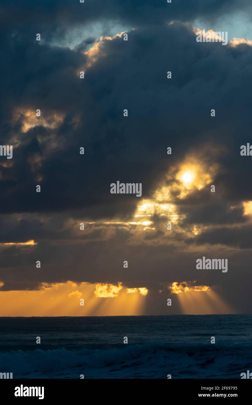 Whakataki hi-res stock photography and images - Alamy