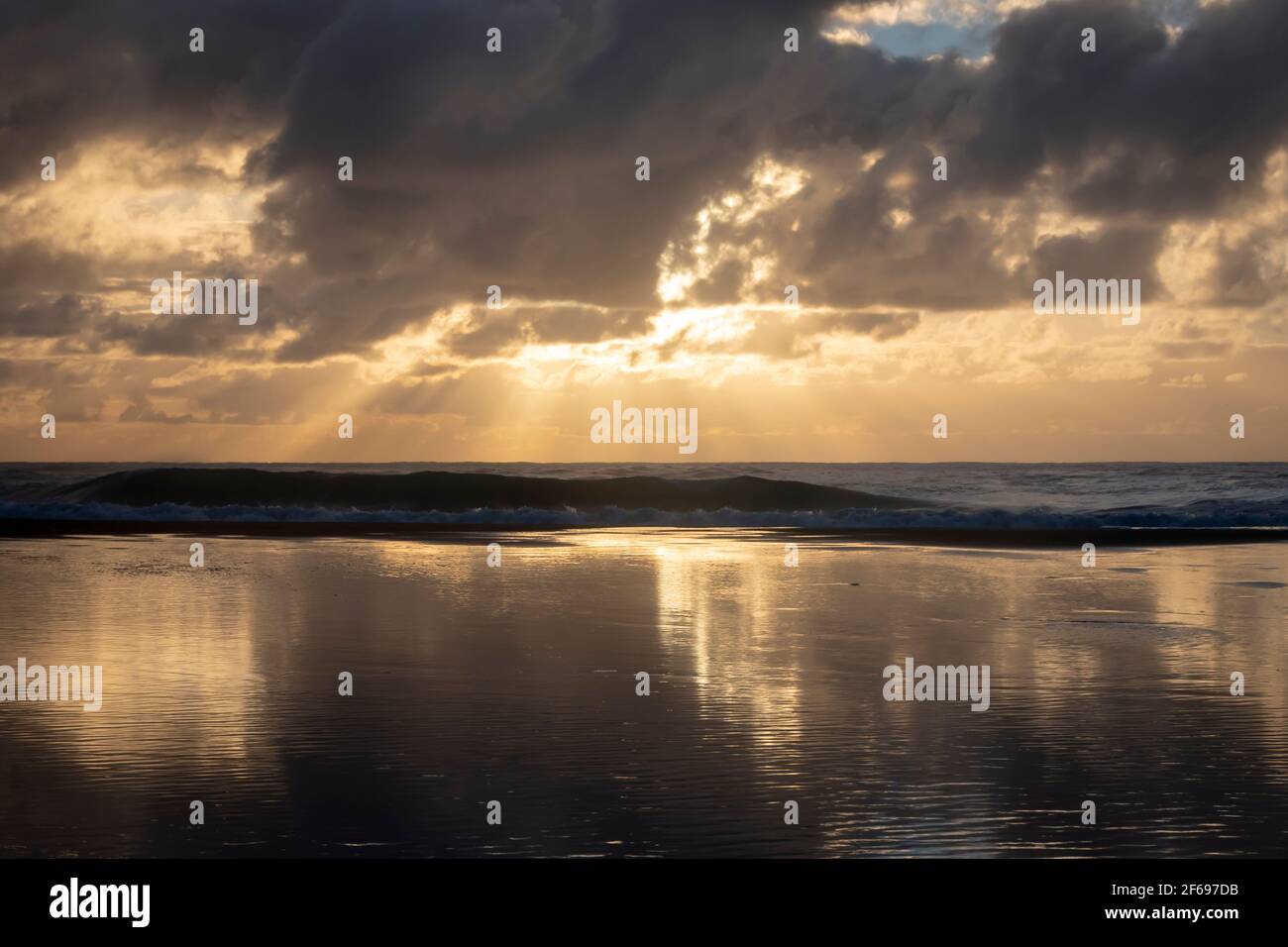 Whakataki hi-res stock photography and images - Alamy