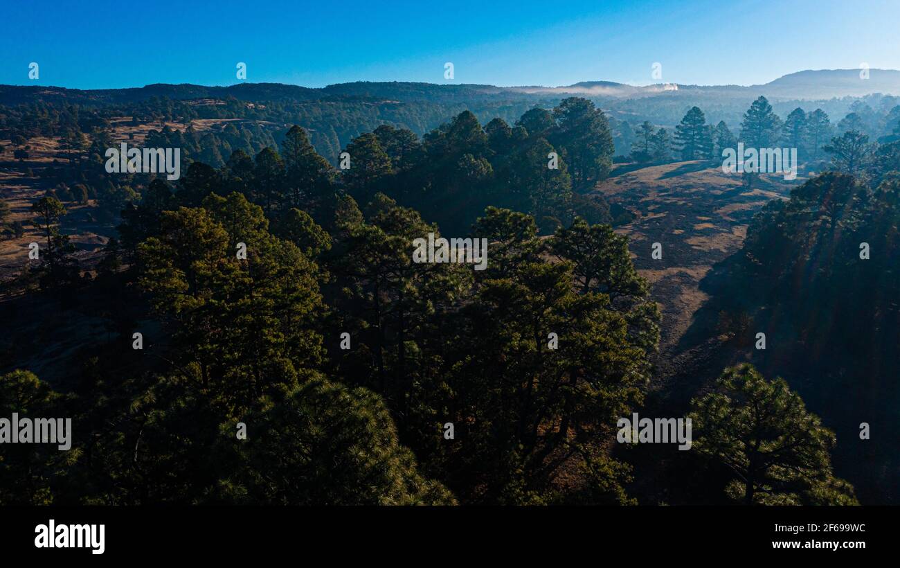 Yecora, Mpo. Yecora, Sonora, Mexico ...... (Photo by Luis Gutierrez ...