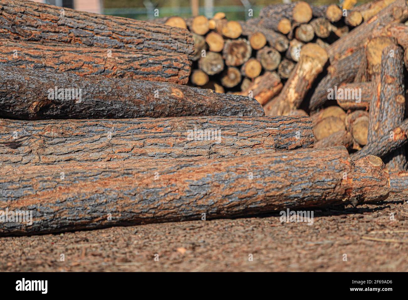 Yecora, Mpo. Yecora, Sonora, Mexico. Steel fence, pine wood, logs, wood ...