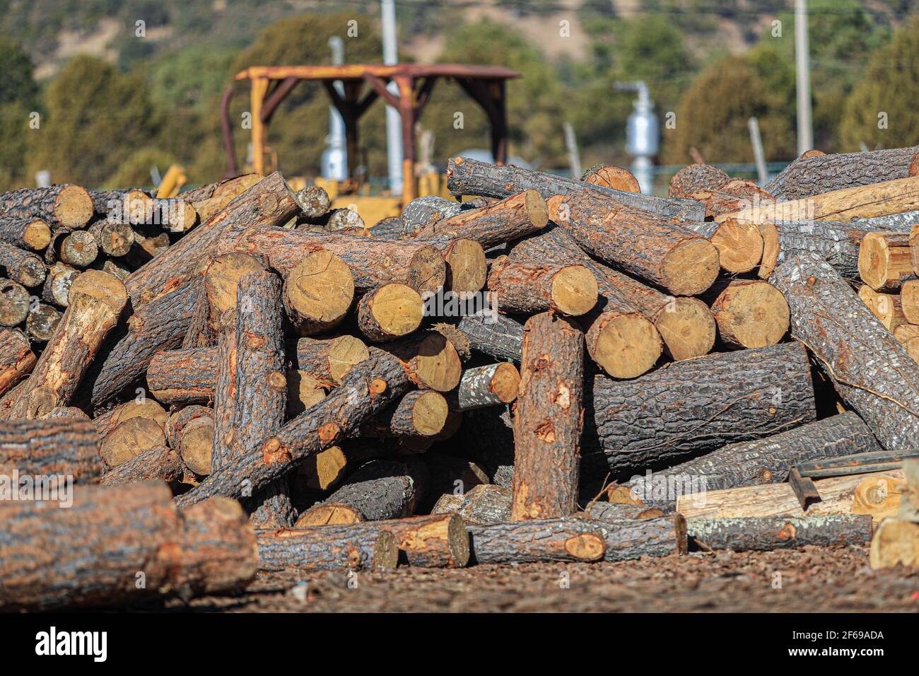 Yecora, Mpo. Yecora, Sonora, Mexico. Steel fence, pine wood, logs, wood ...