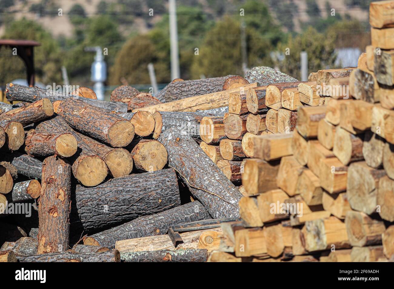 Yecora, Mpo. Yecora, Sonora, Mexico. Steel fence, pine wood, logs, wood ...