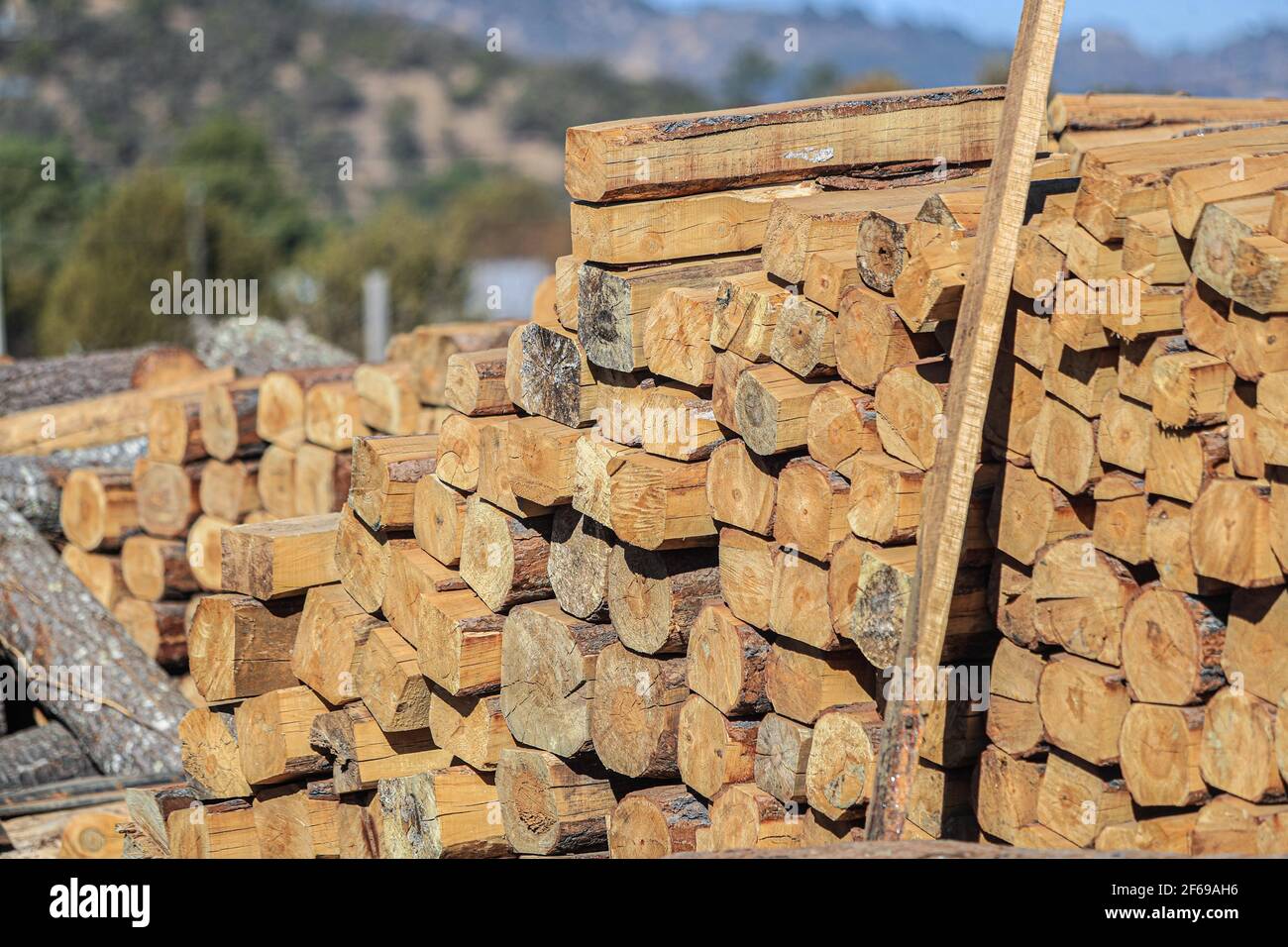 Yecora, Mpo. Yecora, Sonora, Mexico. Steel fence, pine wood, logs, wood ...