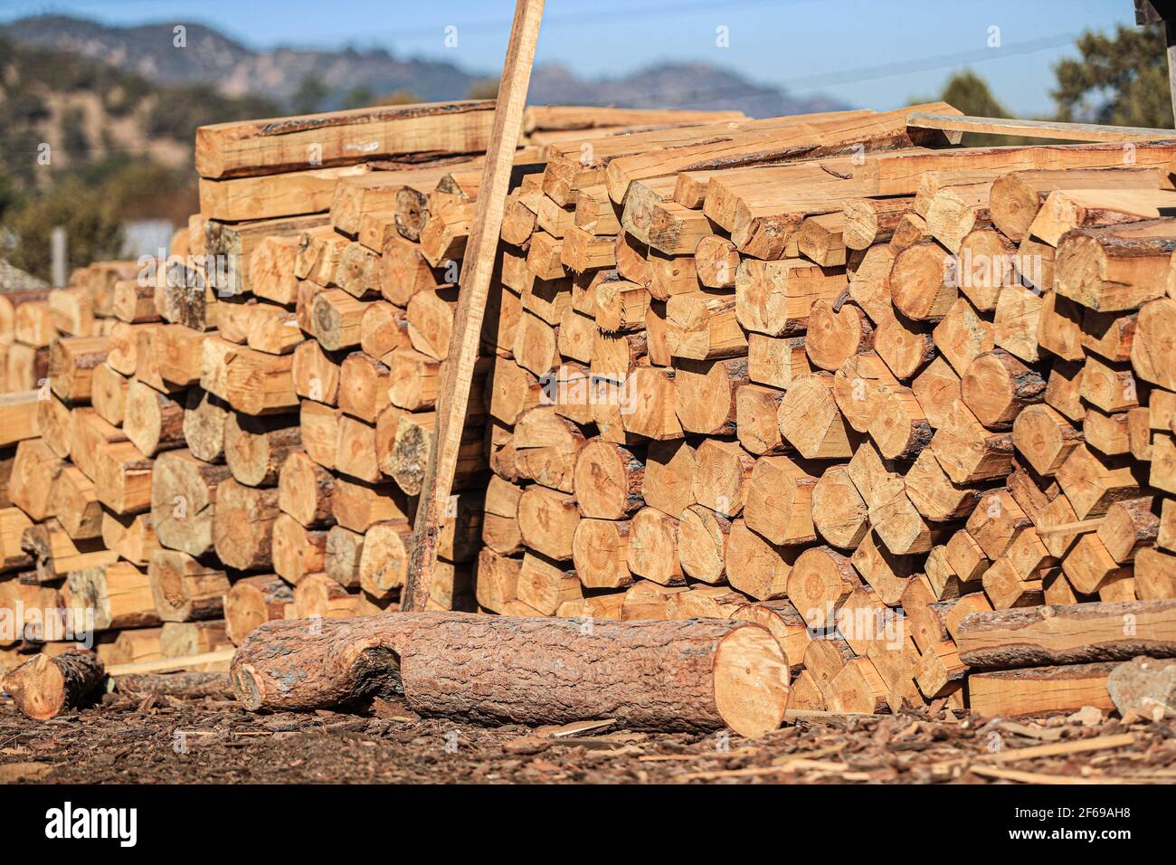 Yecora, Mpo. Yecora, Sonora, Mexico. Steel fence, pine wood, logs, wood ...