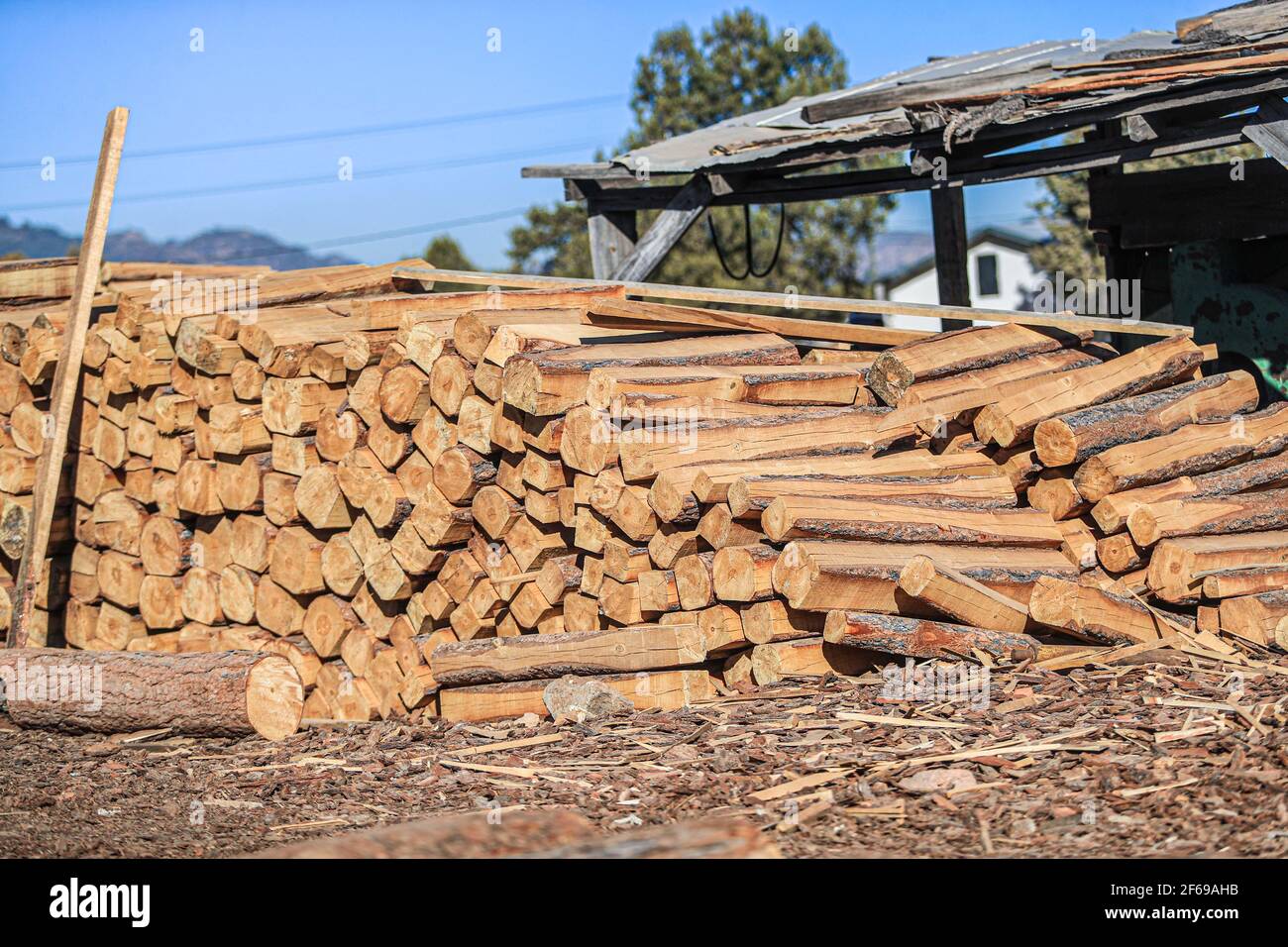 Yecora, Mpo. Yecora, Sonora, Mexico. Steel fence, pine wood, logs, wood ...