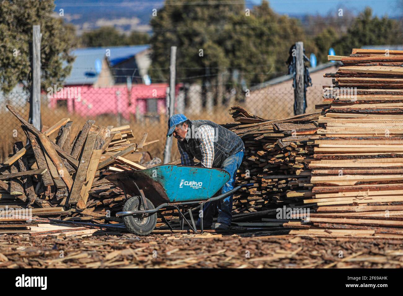 Yecora, Mpo. Yecora, Sonora, Mexico. Steel fence, pine wood, logs, wood ...
