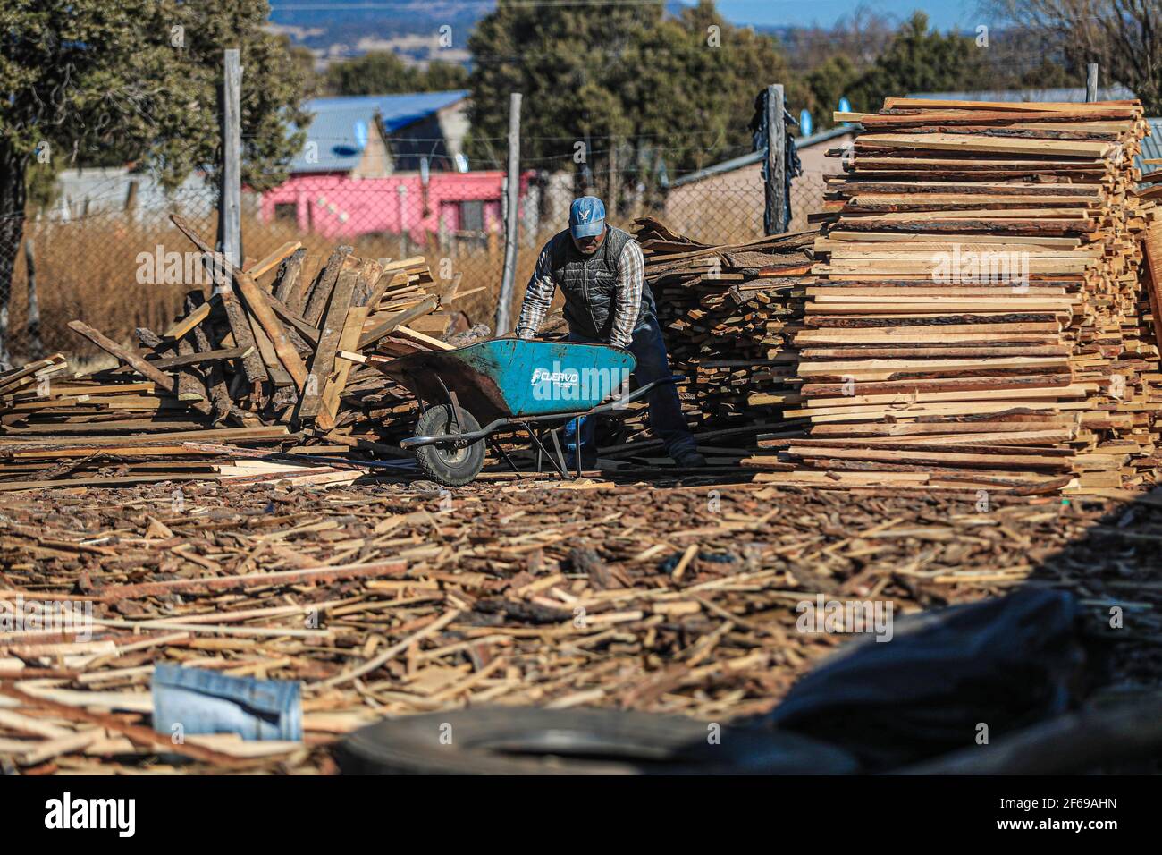 Yecora, Mpo. Yecora, Sonora, Mexico. Steel fence, pine wood, logs, wood ...