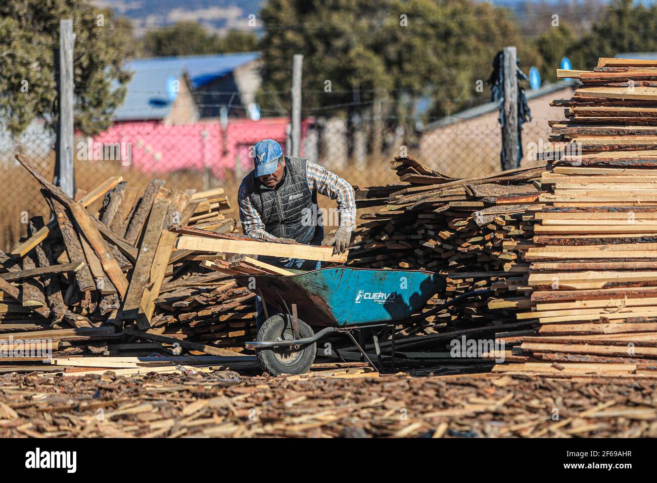 Yecora, Mpo. Yecora, Sonora, Mexico. Steel fence, pine wood, logs, wood ...