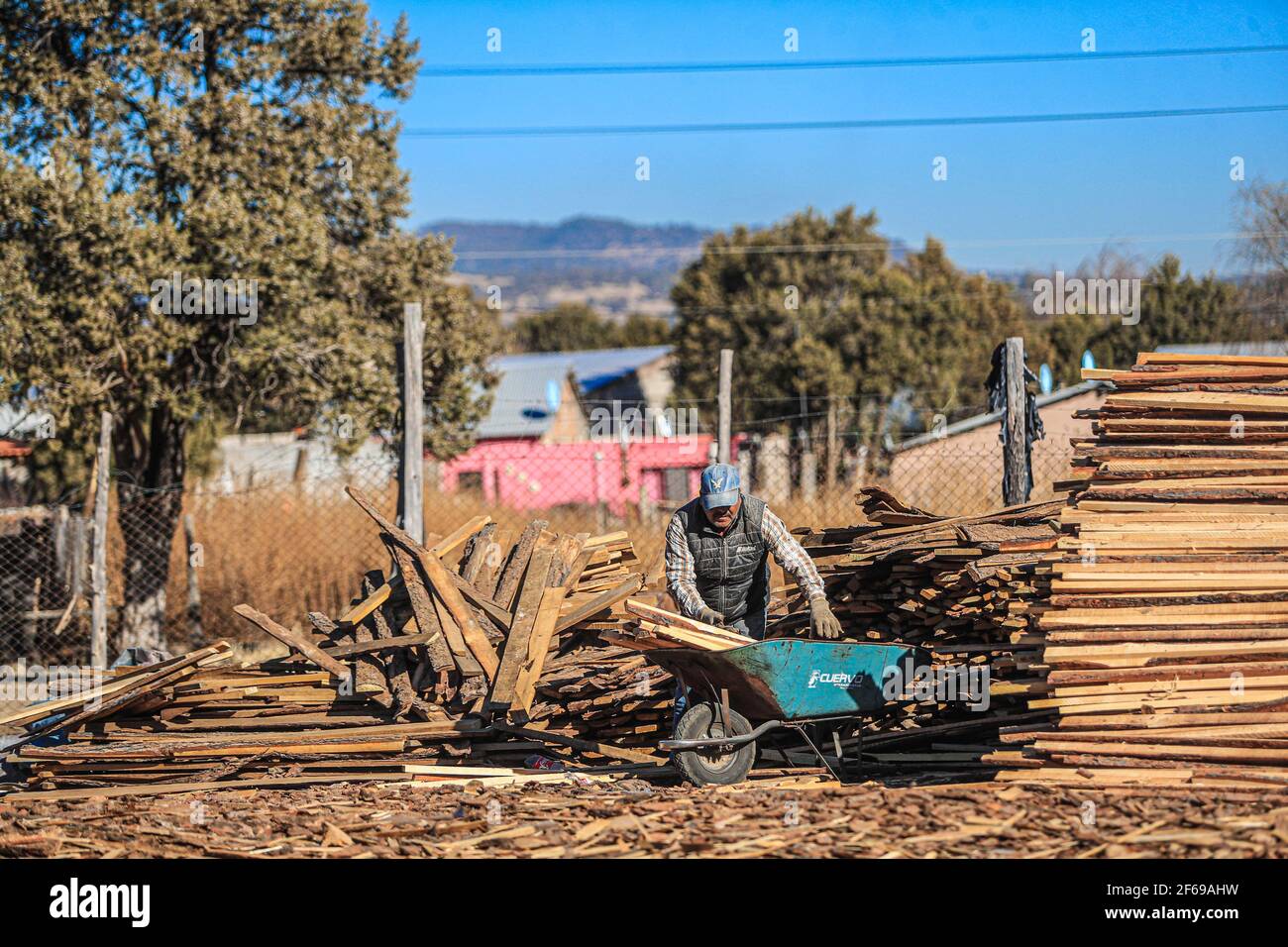 Yecora, Mpo. Yecora, Sonora, Mexico. Steel fence, pine wood, logs, wood ...