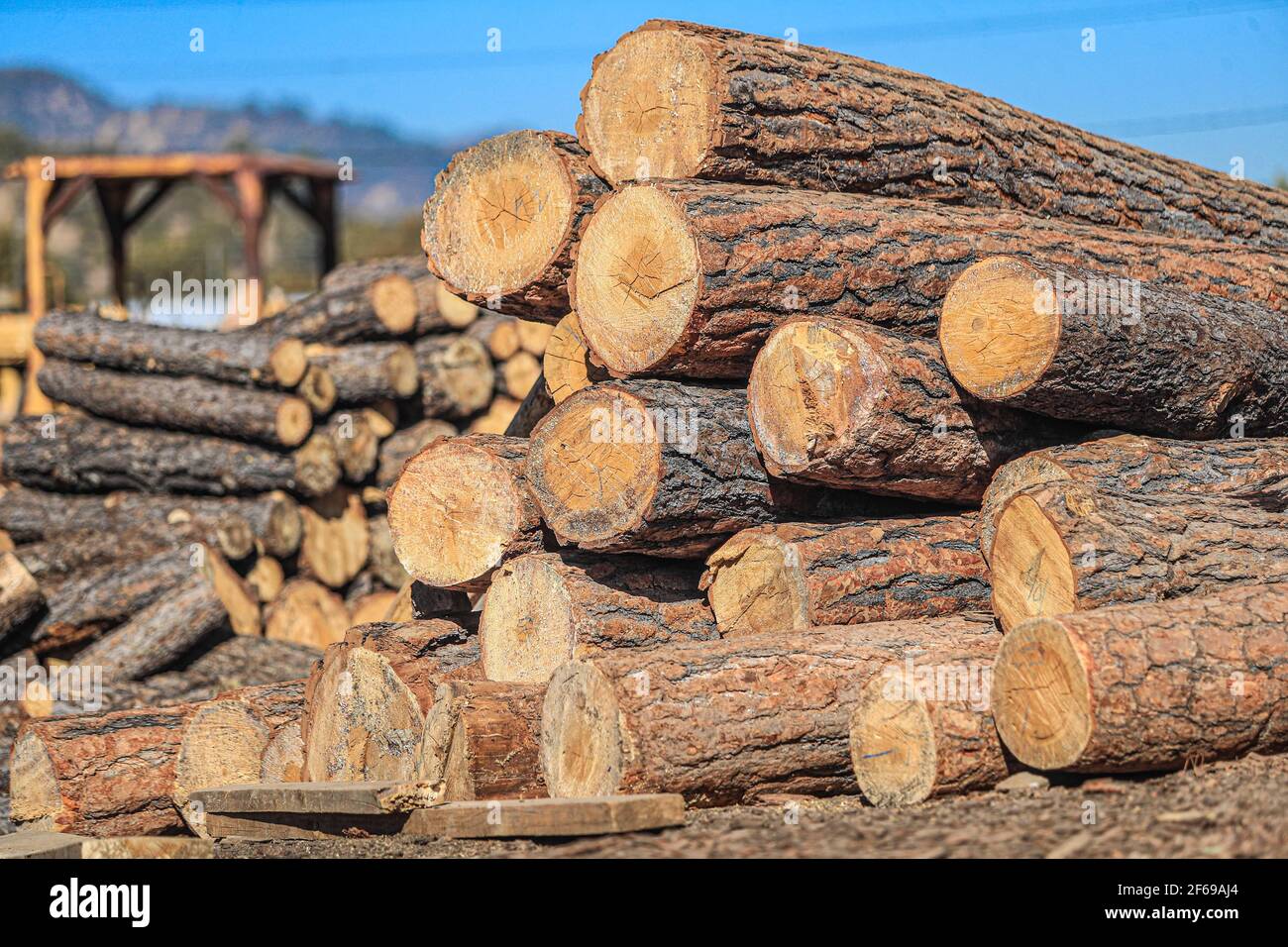 Yecora, Mpo. Yecora, Sonora, Mexico. Steel fence, pine wood, logs, wood ...