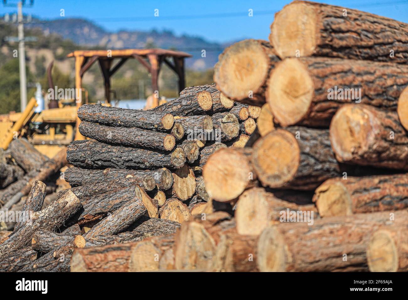 Yecora, Mpo. Yecora, Sonora, Mexico. Steel fence, pine wood, logs, wood ...