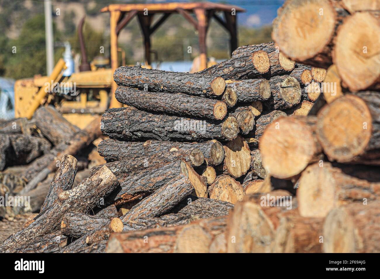 Yecora, Mpo. Yecora, Sonora, Mexico. Steel fence, pine wood, logs, wood ...