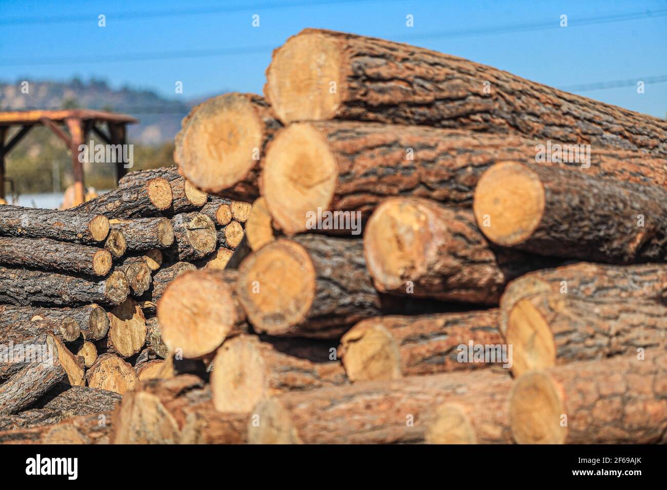 Yecora, Mpo. Yecora, Sonora, Mexico. Steel fence, pine wood, logs, wood ...