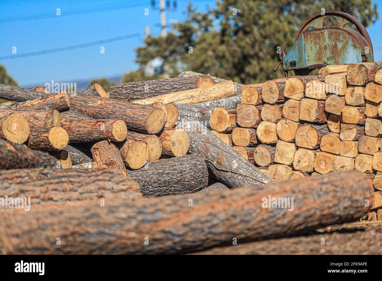 Yecora, Mpo. Yecora, Sonora, Mexico. Steel fence, pine wood, logs, wood ...