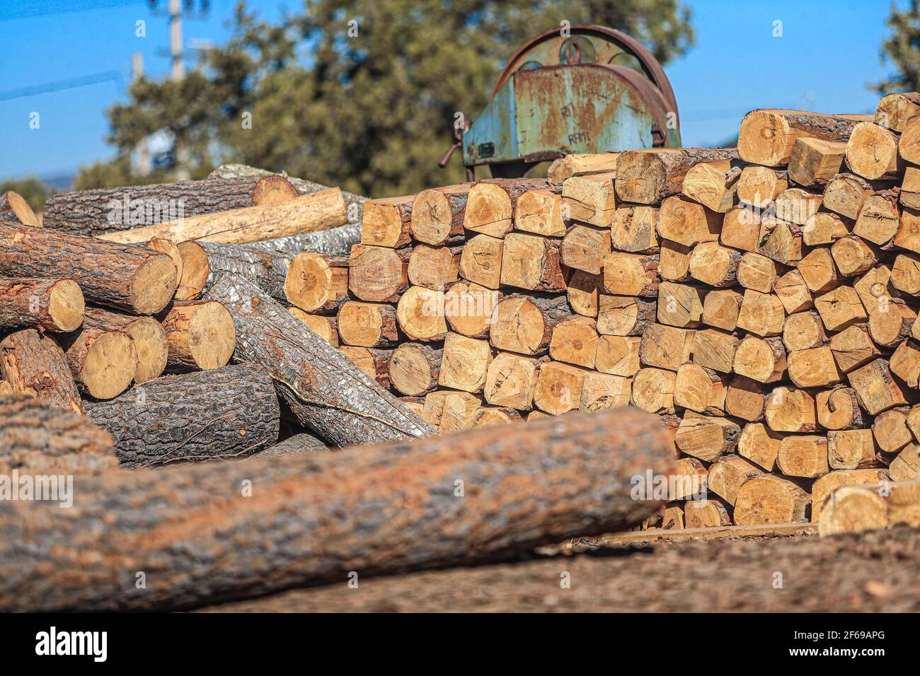 Yecora, Mpo. Yecora, Sonora, Mexico. Steel fence, pine wood, logs, wood ...