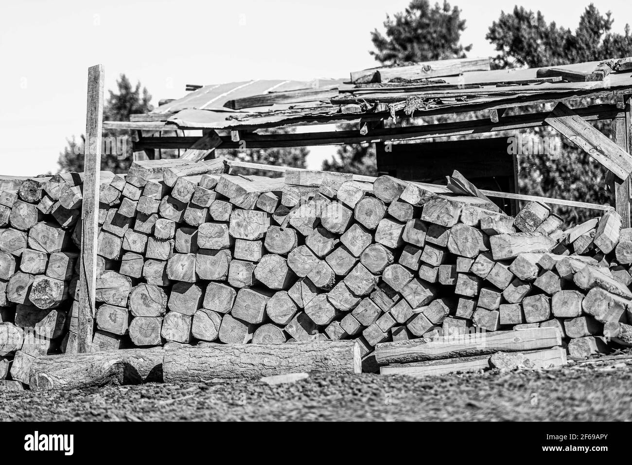 Yecora, Mpo. Yecora, Sonora, Mexico. Steel fence, pine wood, logs, wood ...