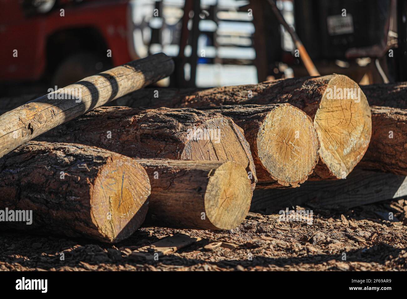 Yecora, Mpo. Yecora, Sonora, Mexico. Steel fence, pine wood, logs, wood ...