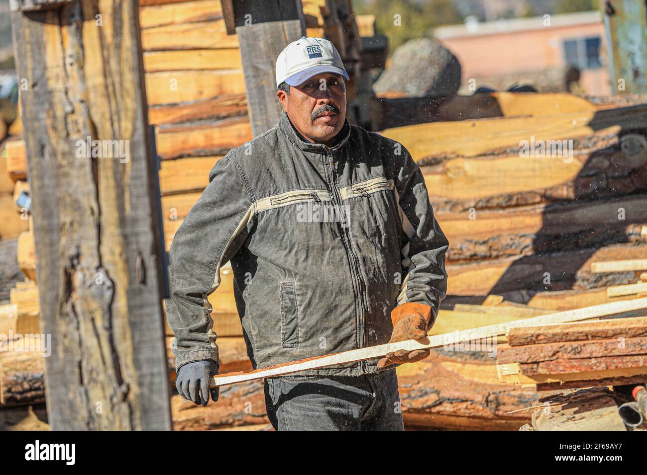 Yecora, Mpo. Yecora, Sonora, Mexico. Steel fence, pine wood, logs, wood ...