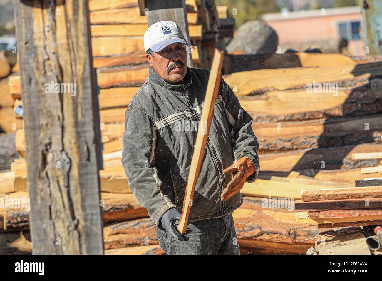 Yecora, Mpo. Yecora, Sonora, Mexico. Steel fence, pine wood, logs, wood ...