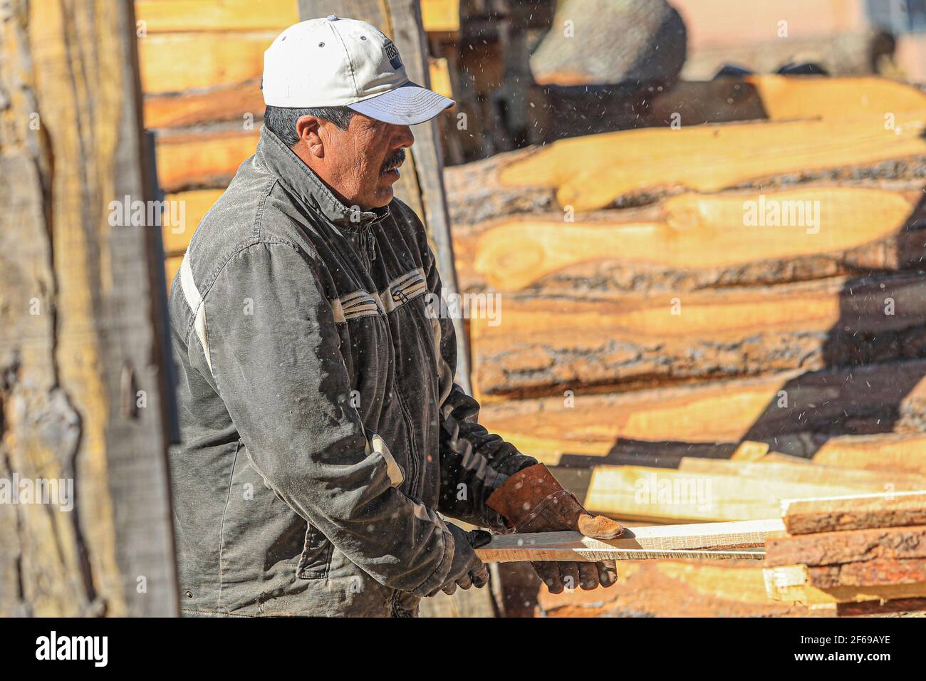 Yecora, Mpo. Yecora, Sonora, Mexico. Steel fence, pine wood, logs, wood ...