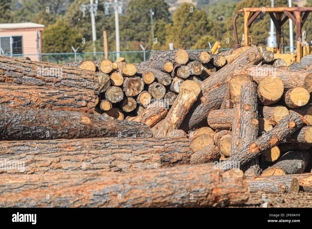 Yecora, Mpo. Yecora, Sonora, Mexico. Steel fence, pine wood, logs, wood ...