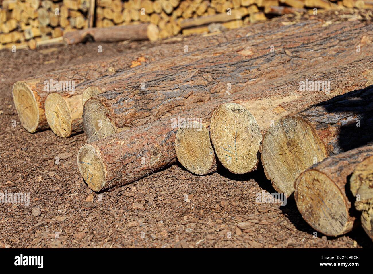 Yecora, Mpo. Yecora, Sonora, Mexico. Steel fence, pine wood, logs, wood ...