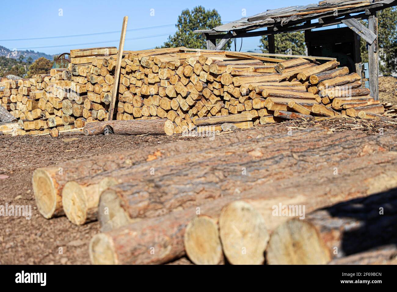 Yecora, Mpo. Yecora, Sonora, Mexico. Steel fence, pine wood, logs, wood ...