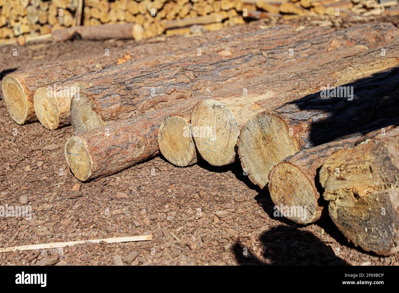 Yecora, Mpo. Yecora, Sonora, Mexico. Steel fence, pine wood, logs, wood ...