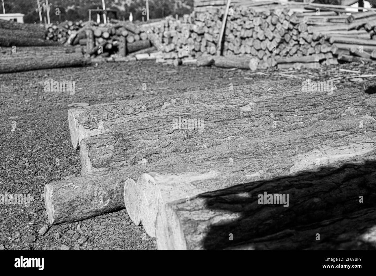 Yecora, Mpo. Yecora, Sonora, Mexico. Steel fence, pine wood, logs, wood ...