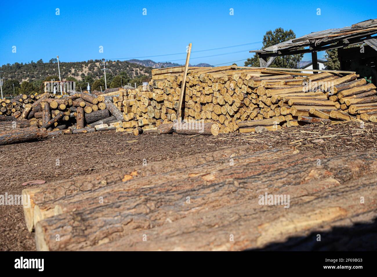 Yecora, Mpo. Yecora, Sonora, Mexico. Steel fence, pine wood, logs, wood ...