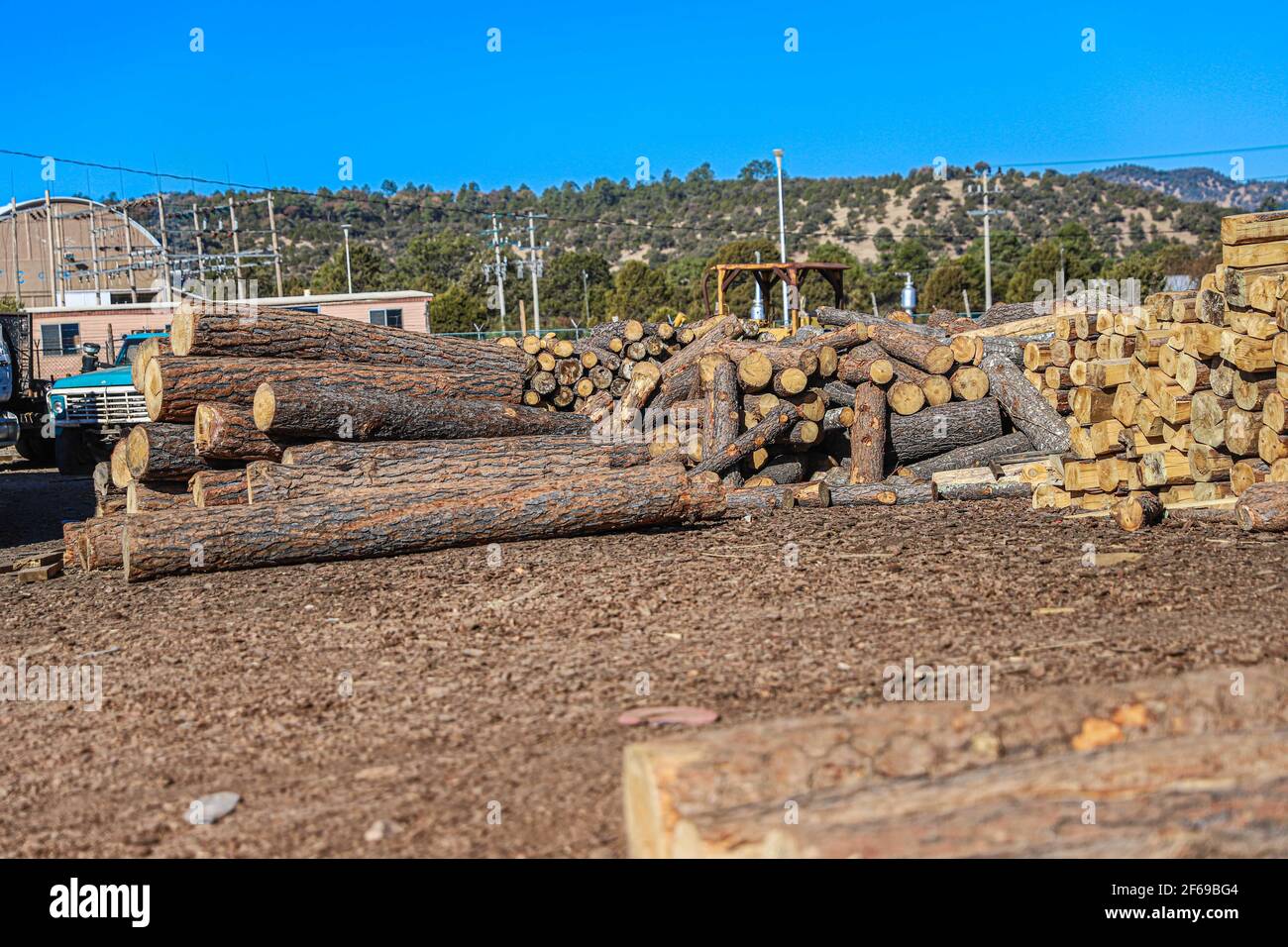 Yecora, Mpo. Yecora, Sonora, Mexico. Steel fence, pine wood, logs, wood ...