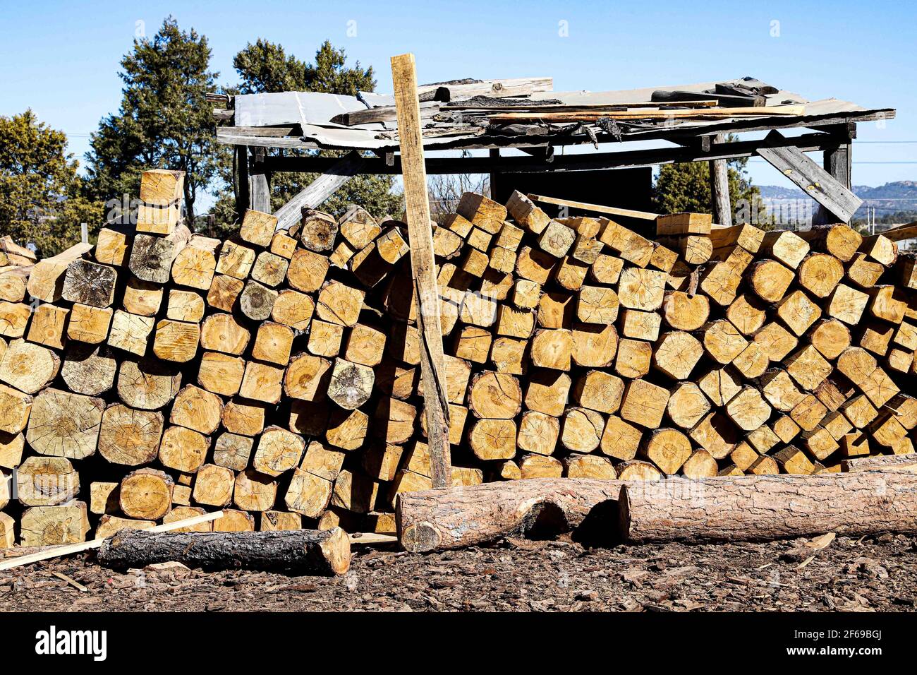 Yecora, Mpo. Yecora, Sonora, Mexico. Steel fence, pine wood, logs, wood ...